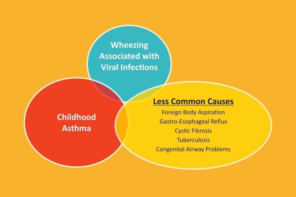 What is wheezing and what are the common causes in children? - Dr ...