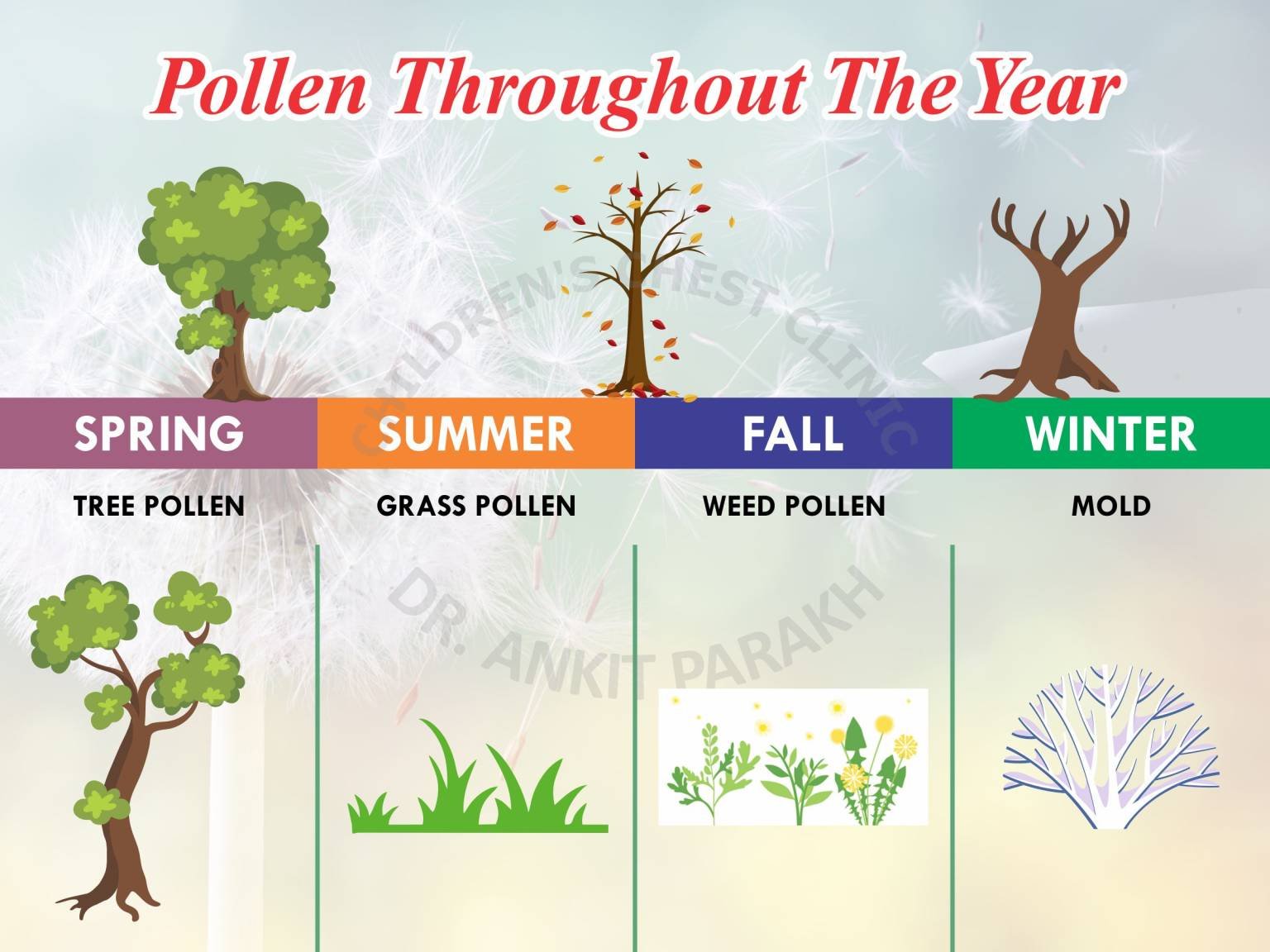 Pollen Allergy | Causes, Symptoms & Treatment - Dr. Ankit Parakh ...
