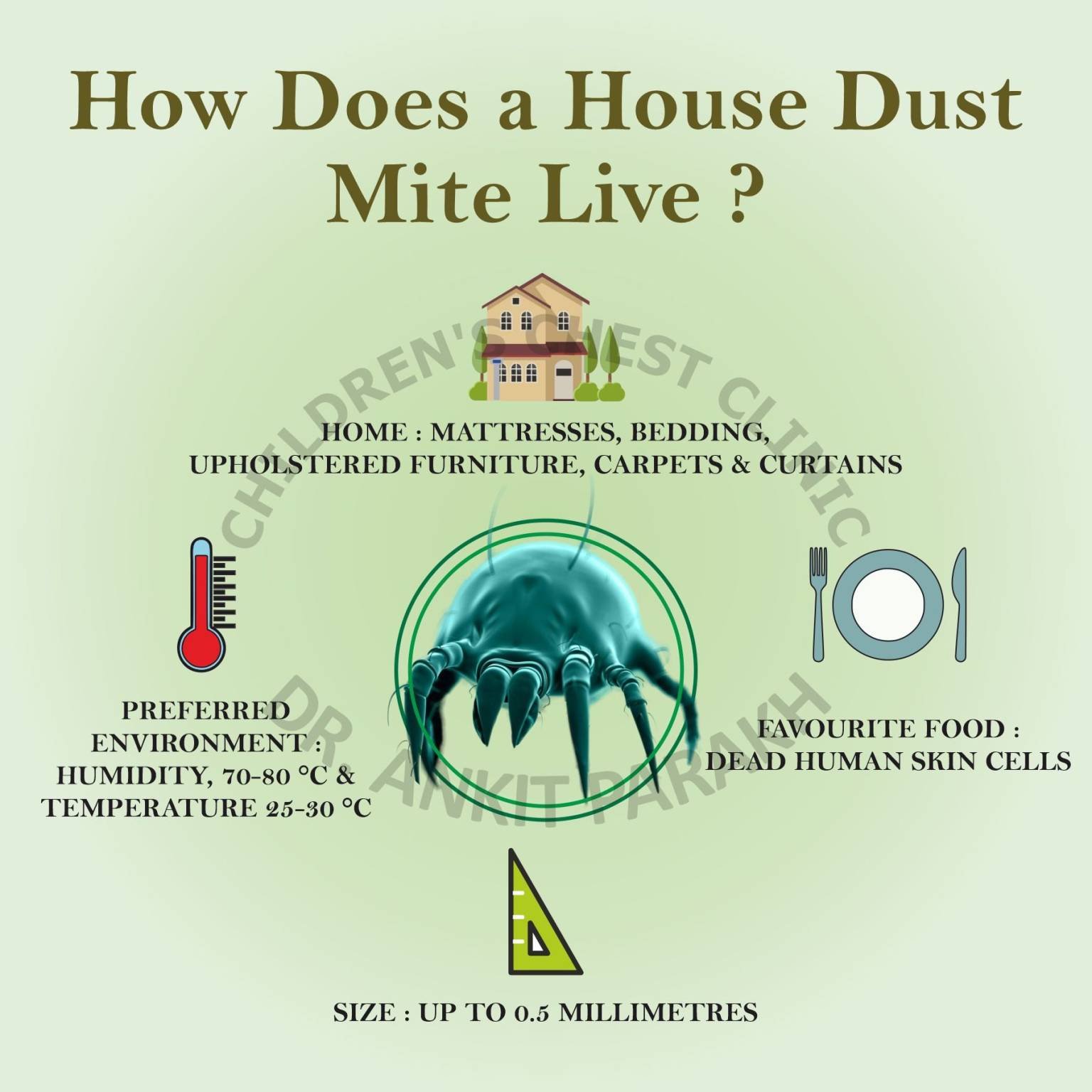House Dust Mite SLIT Protects At-Risk Preschoolers - News Directory 3